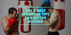 Finest Boxing Sparring Tips For Beginners | Mmalife.com