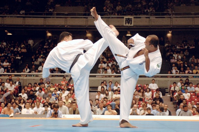 Different Kicking Styles of Muay Thai, Karate, Tae Kwon Do, and Kung Fu