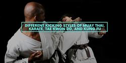 Different Kicking Styles of Muay Thai, Karate, Tae Kwon Do, and Kung Fu