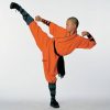Different Kicking Styles of Muay Thai, Karate, Tae Kwon Do, and Kung Fu