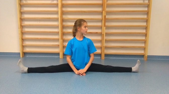 7 Best Leg Stretching Machines – MMA Life