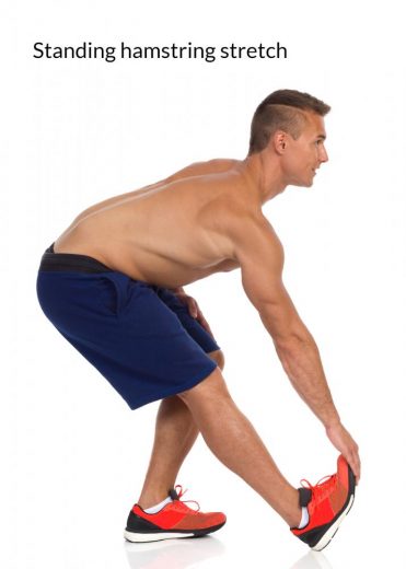 7 Essential Stretches Martial Artists Should Do Daily – MMA Life